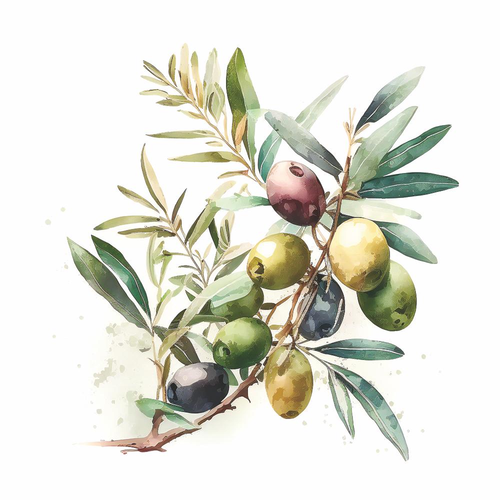 Olive Branch • Lunch Napkin – Paperproducts Design