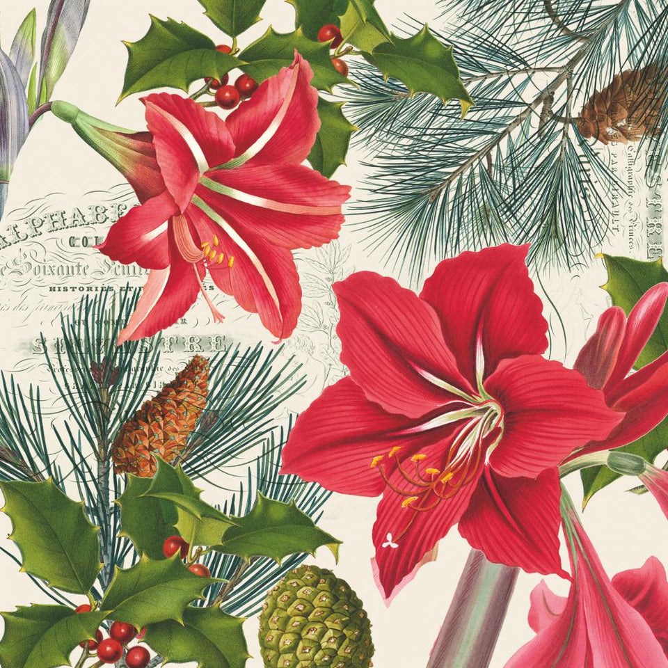 Paper Plates & Napkins – Paperproducts Design