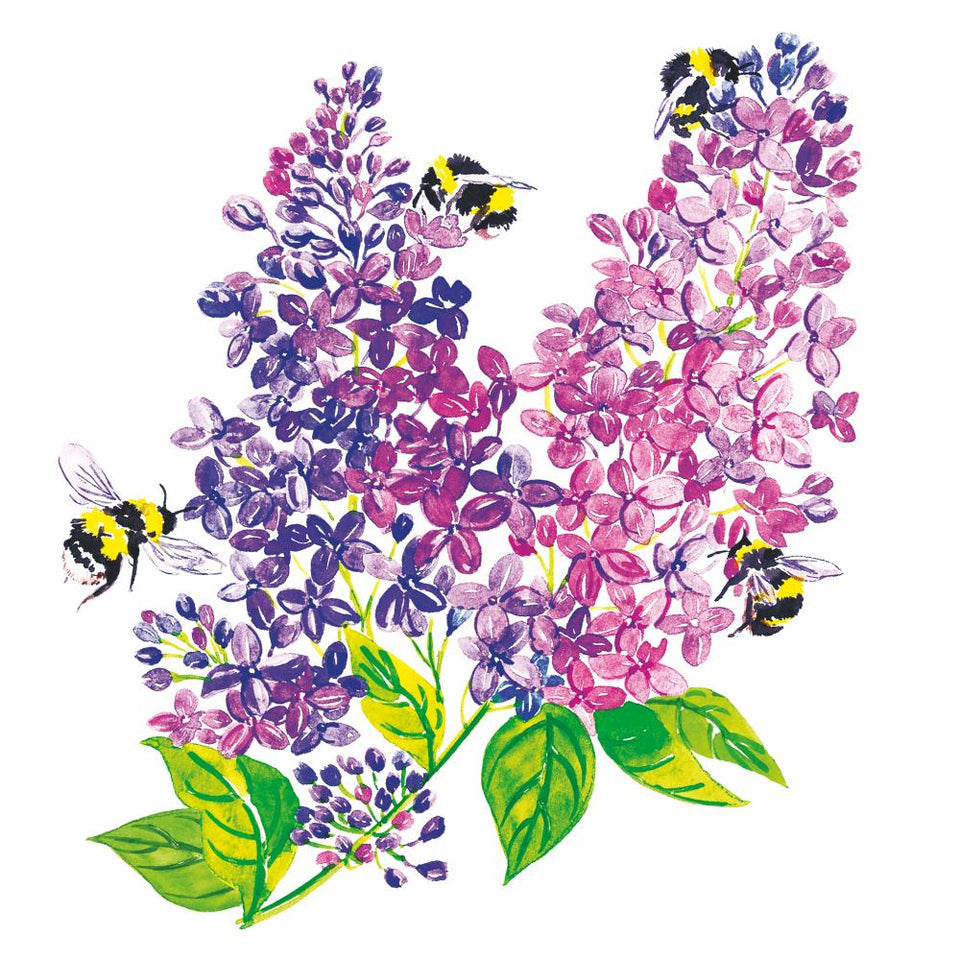 New! – Paperproducts Design